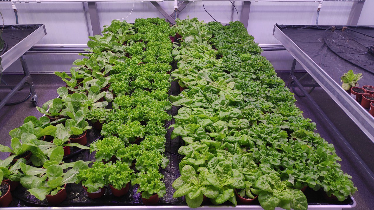 Sustainable Indoor Farming: Integrating AI-based Energy Disaggregation ...